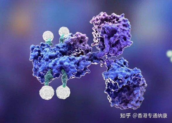 DS8201(Enhertu)中国香港获批上市多种实体瘤受益中国临床试验要求 - 知乎