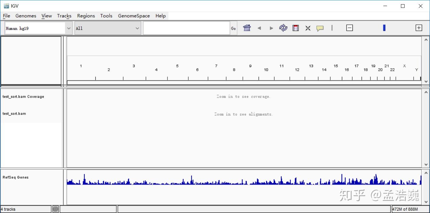 生物信息学100个基础问题 —— 第29题 如何使用IGVTools对mapping结果进行可视化？ - 知乎