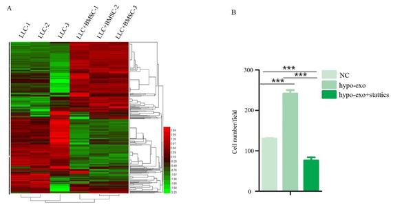 国自热点——这篇EMT二元变量论证竟有27分！ - 知乎