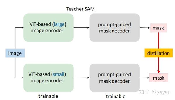 【论文解读】比sam小60倍的轻量级模型mobilesam(Faster Segment Anything) - 知乎