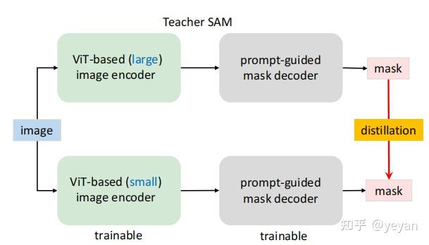 【论文解读】比sam小60倍的轻量级模型mobilesam(Faster Segment Anything) - 知乎