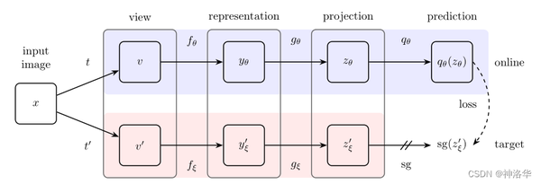 李沐论文精读系列三：MoCo、对比学习综述（MoCov1/v2/v3、SimCLR v1/v2、DINO等） - 知乎