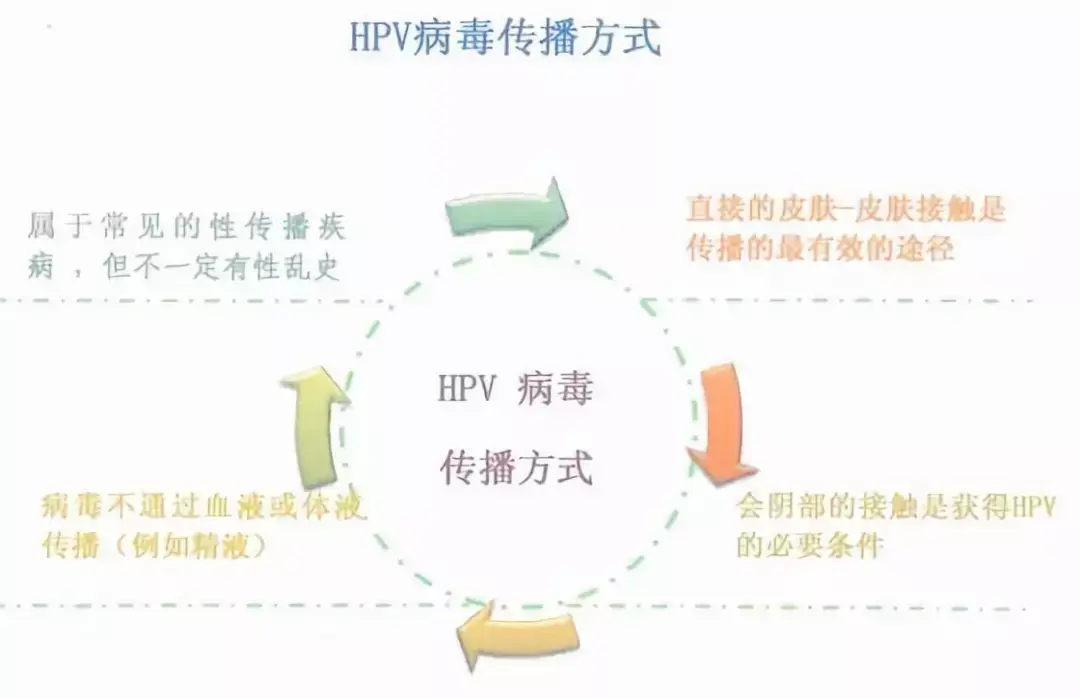 Hpv是通过哪些方式感染的? 知乎
