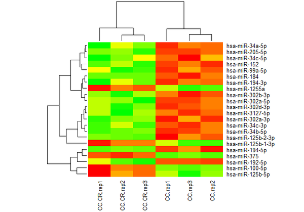 【R语言】热图绘制-heatmap+grDevice配色方案 - 知乎