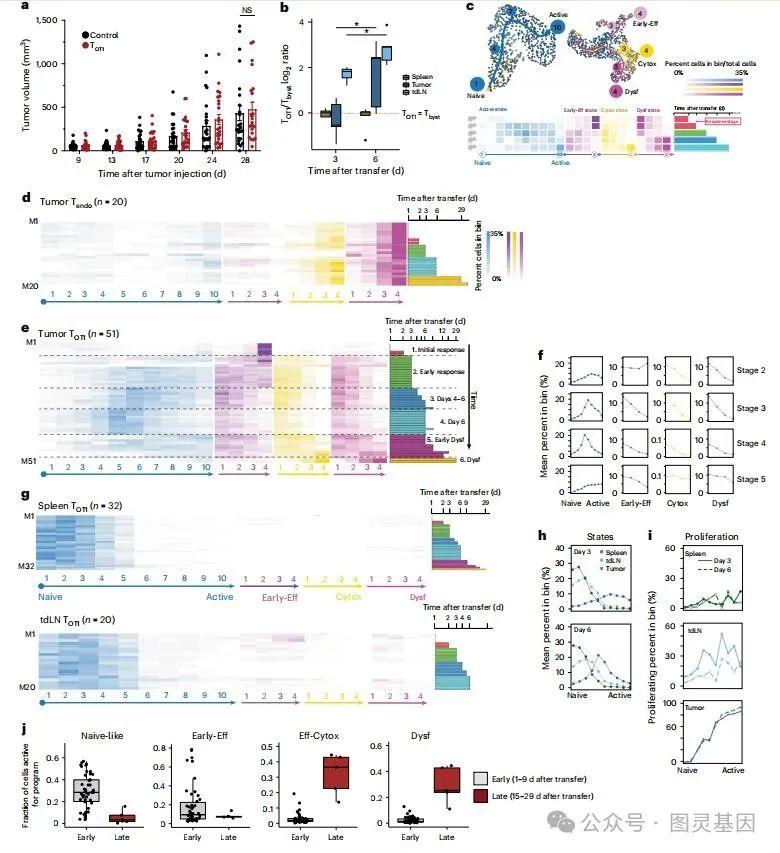 Nat Cancer | 体内跟踪T细胞，发现肿瘤免疫的时间特征 - 知乎