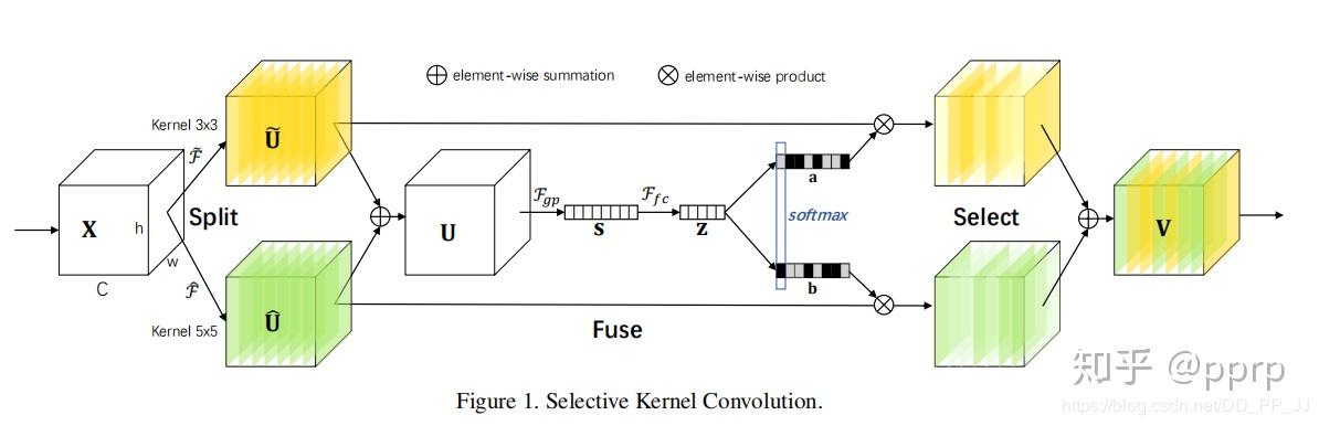 【CV中的Attention机制】SKNet-SENet的提升版 - 知乎
