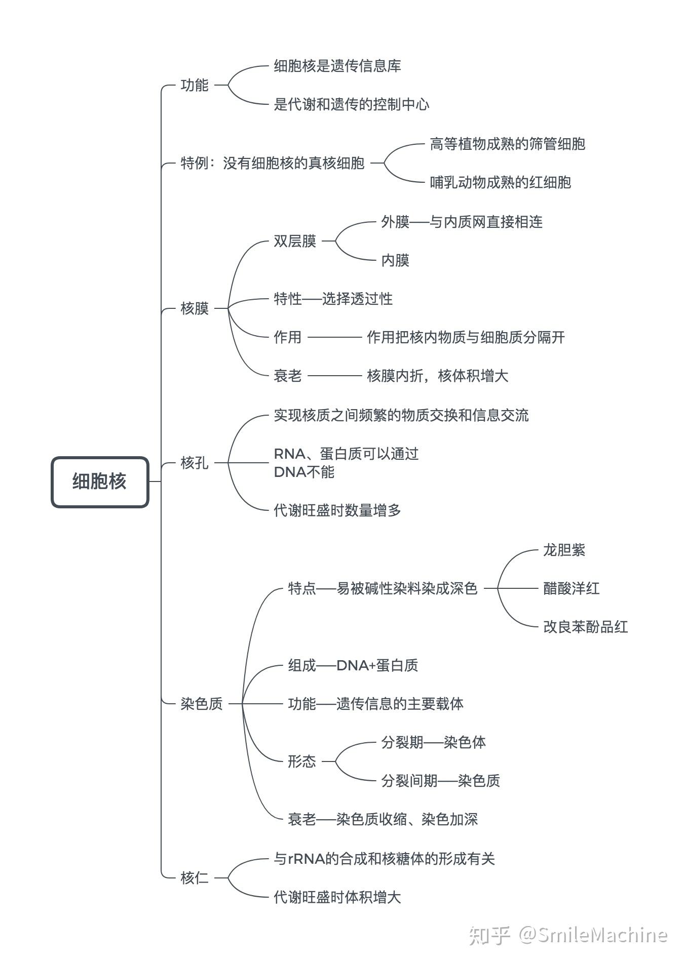 细胞的基本结构结构图 知乎