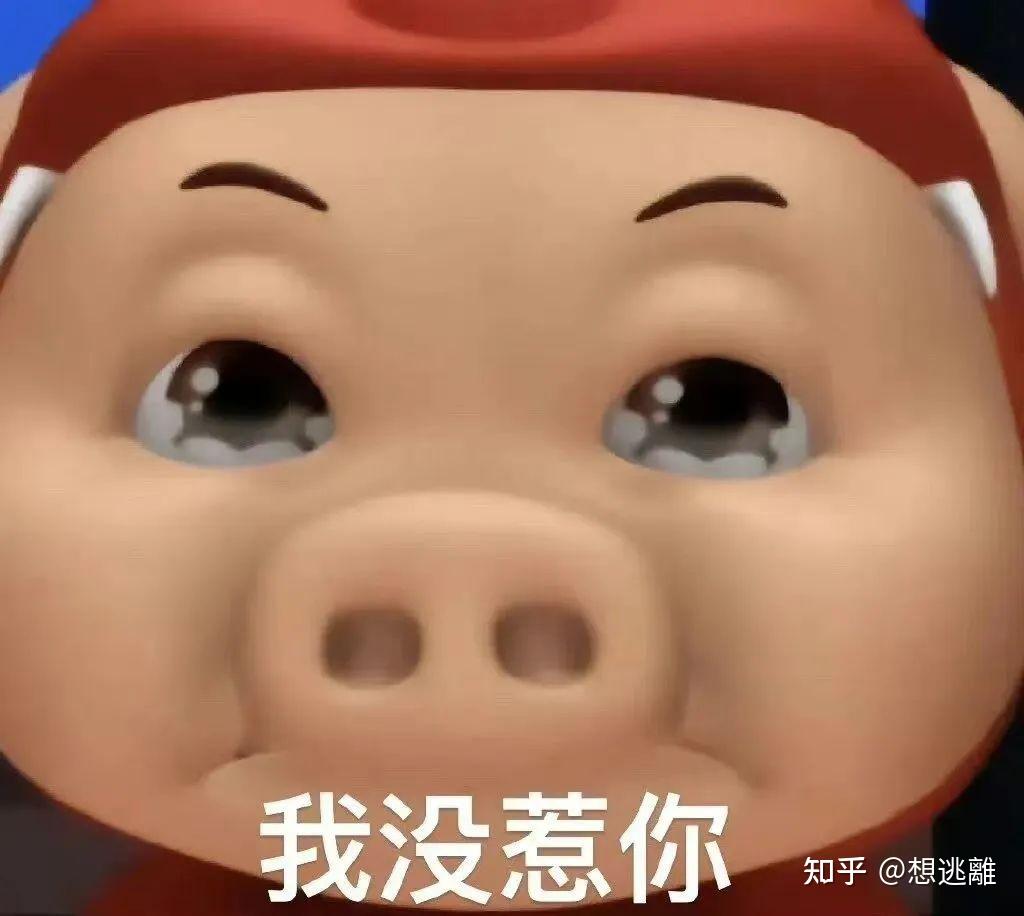 超好用的猪猪侠表情包，让我看看是谁还没用上！ - 知乎