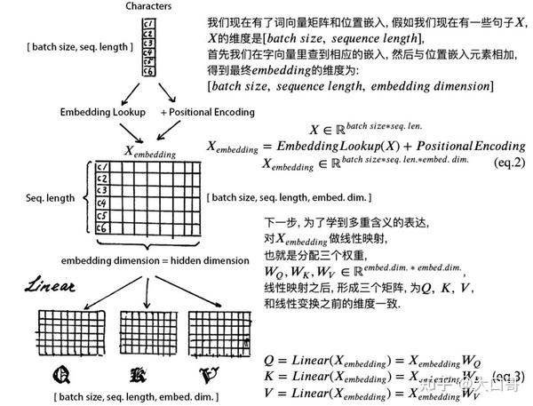 不到30行python代码实现transformer中的多头注意力 知乎