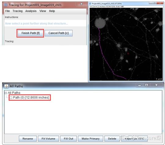 ImageJ实用技巧——Simple Neurite Tracer(插件篇) - 知乎