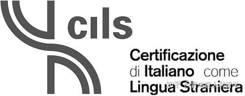干货建议收藏|手把手教你如何准备CILS B2考试及CILS等级考试内容、评分标准最全解析 - 知乎