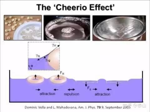 怎样解释麦圈效应（Cheerios effect）？ - 知乎
