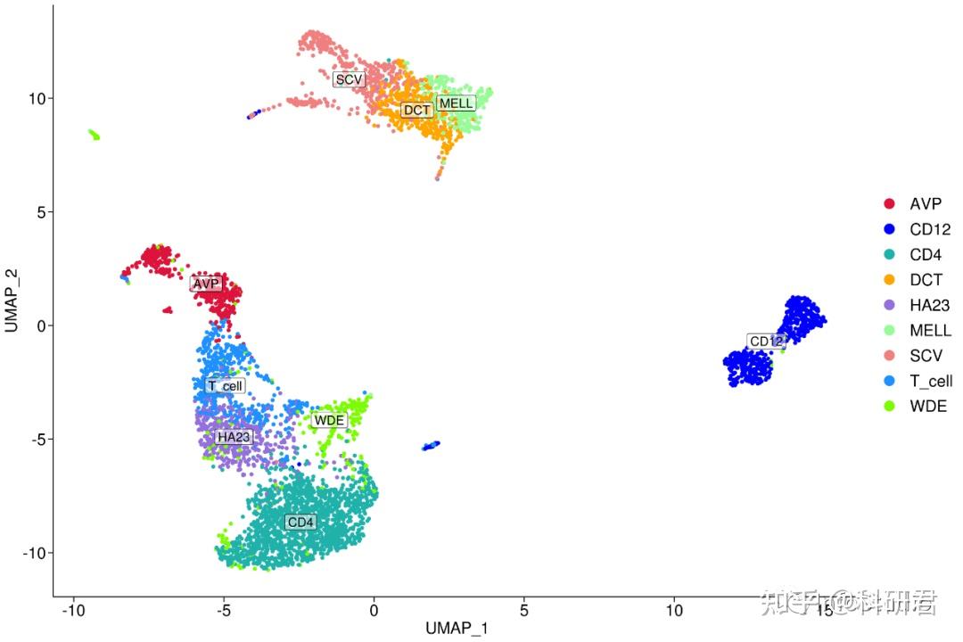 利用ggplot2画发文章级别的TSNE图 - 知乎