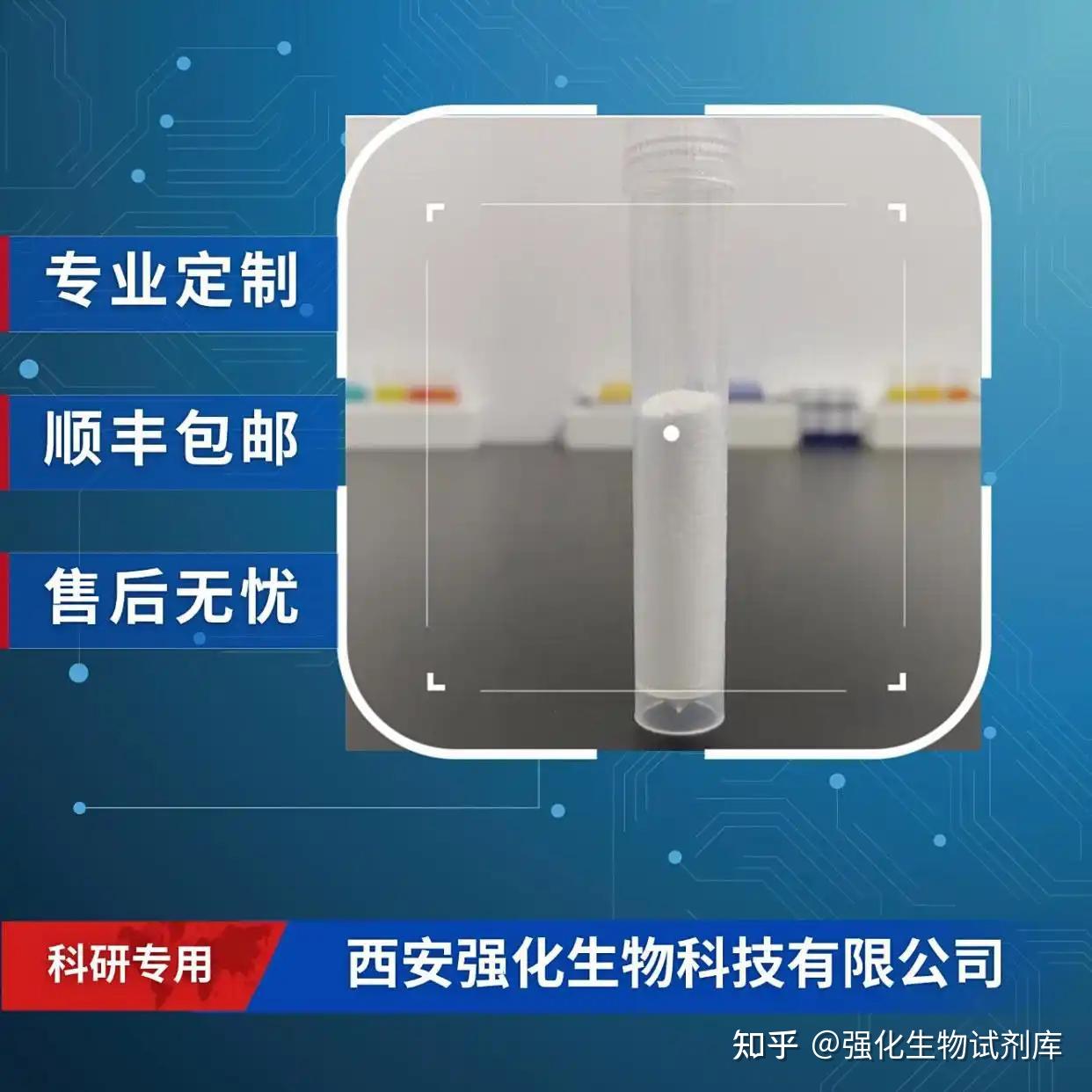 pGBKT7 Vector (pGBKT7 DNA-BD Vector) 酵母双杂交载体的核心结构 - 知乎