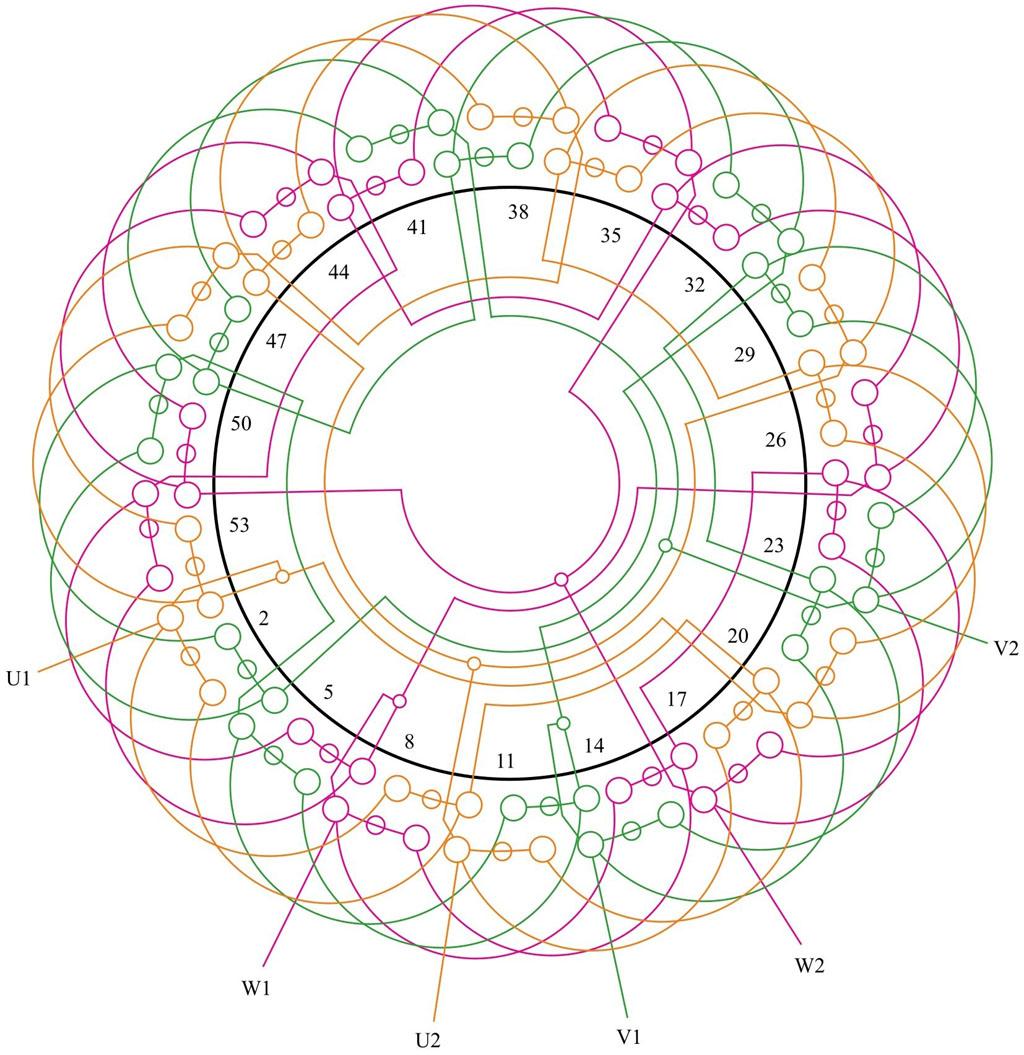 知乎盐选 | 3.3 54 槽系列 4、6 极电动机绕组端面布接线图