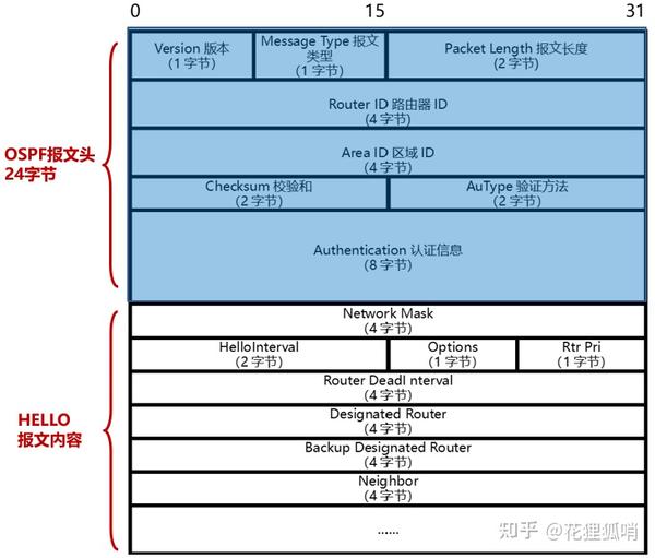 OSPF报文格式 - 知乎