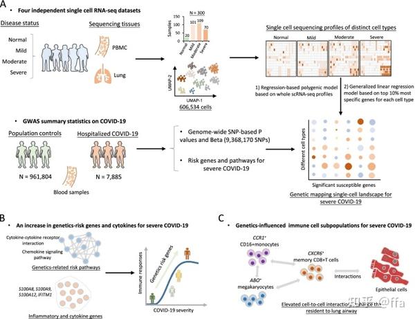 GWAS研究基本概念4——GWAS+scRNA工具列表 - 知乎
