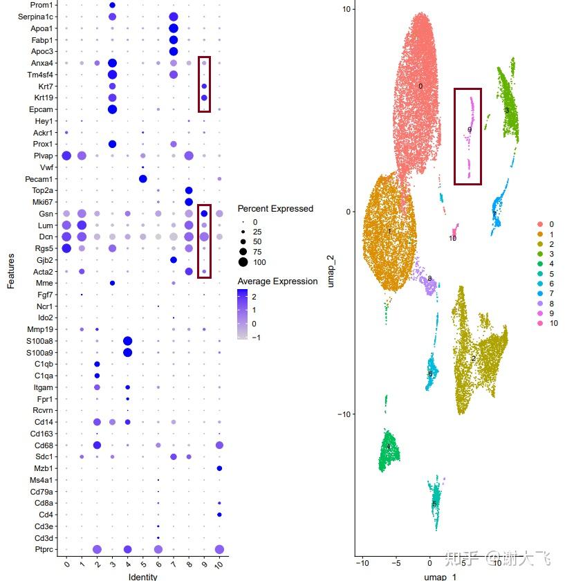 ncount_RNA 和nFeature_RNA辅助过滤 - 知乎