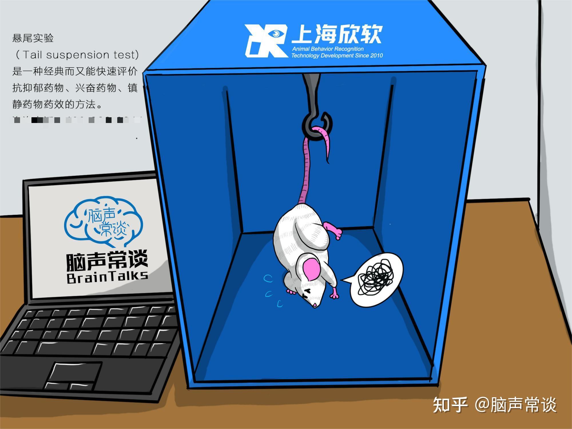 脑声常谈：悬尾实验（Tail suspension test, TST）测试方法总结 - 知乎