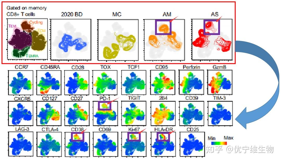 【罗工流式秘籍68】流式大数据t-SNE和UMAP的结果图看不懂？不会用？ - 知乎