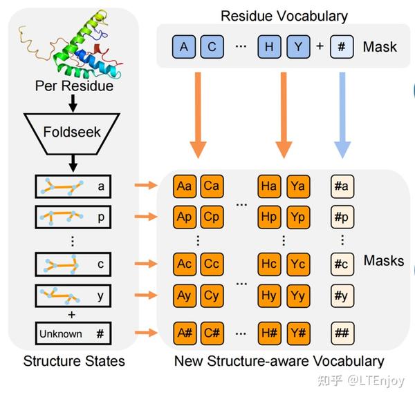 基于结构感知词表的蛋白质语言模型 SaProt: Protein Language Modeling with Structure-aware Vocabulary - 知乎