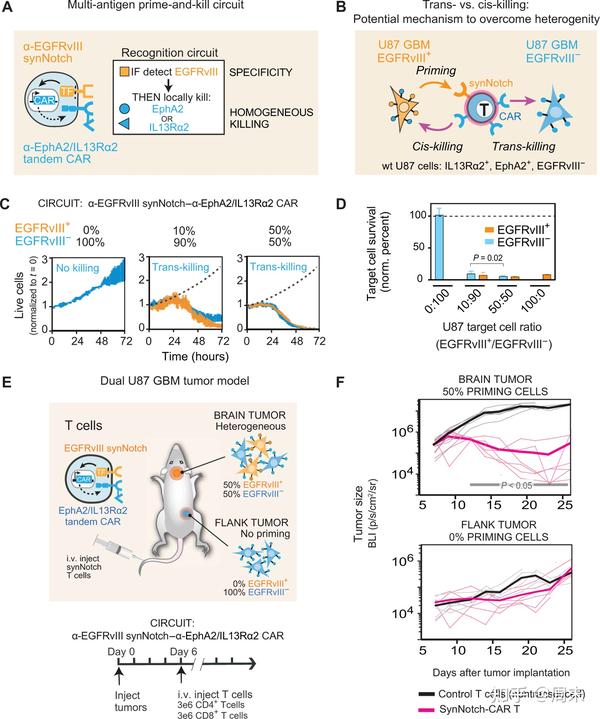 利用机器学习来探究CAR-T的stemness和cytotoxicity - 知乎