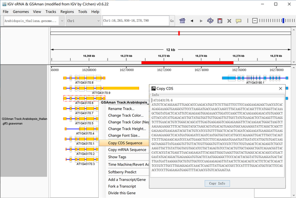 IGV-GSAman |「功能基因组时代」的高效率科研工具 - 知乎