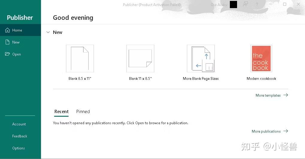 Microsoft Publisher 初学者指南 - 知乎