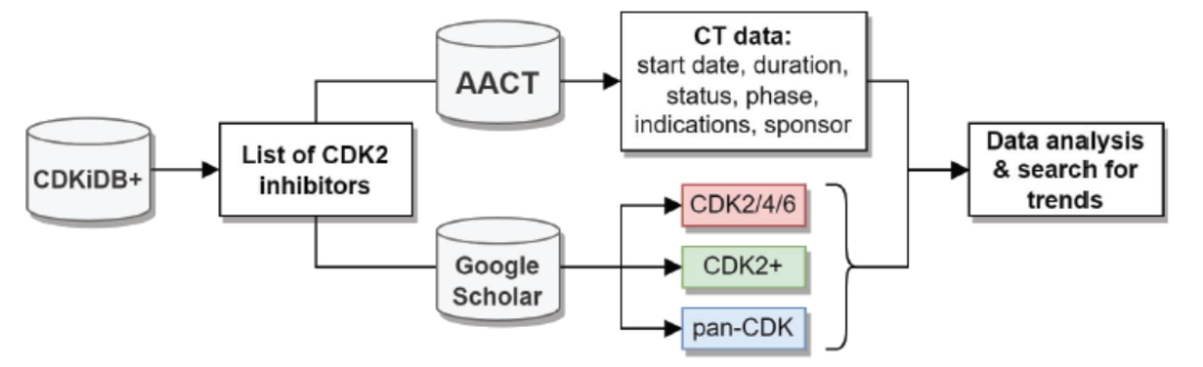 临床CDK2抑制剂：选择性和有效性的趋势 | 「药时代靶点说」系列文章 - 知乎