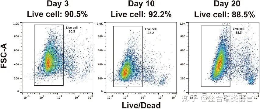 STAR Protoc.：hPSC胰腺类器官培养方法——早期胰腺研究新工具 - 知乎