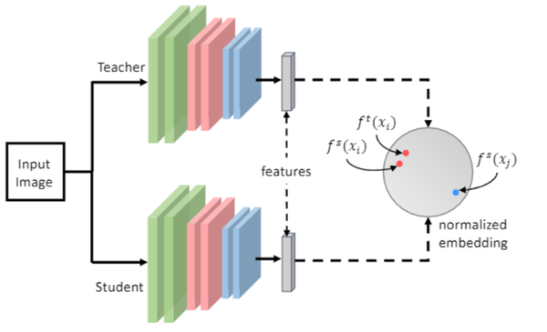 论文笔记：CRD （Contrastive representation distillation） - 知乎