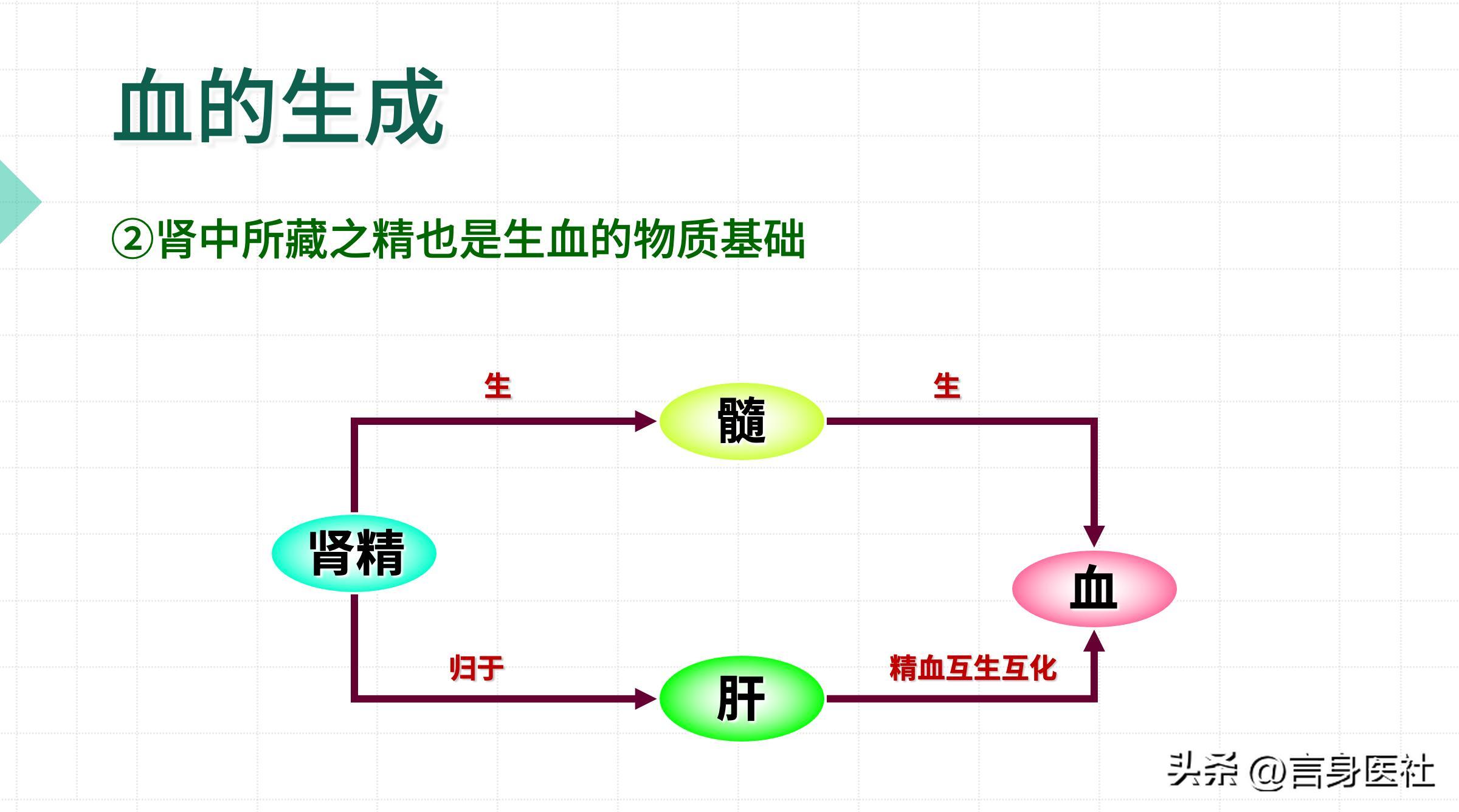 中医故事：中医理解的血，生血的两大源头，和中医的血证 - 知乎