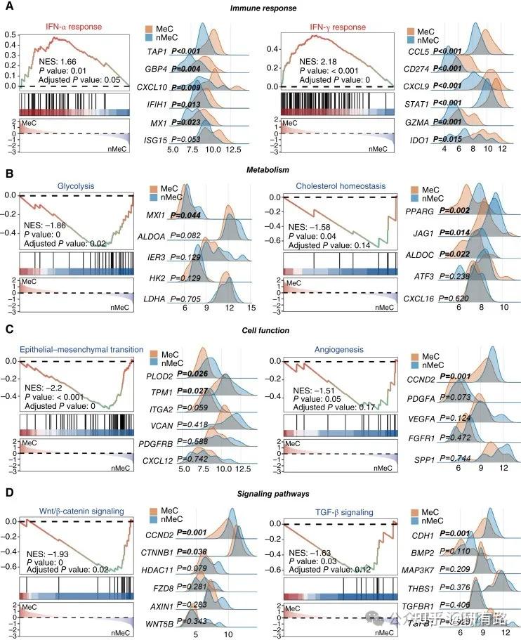 多重荧光免疫组化（mIHC），多靶标空间定位，深入挖掘肿瘤、免疫、代谢疾病等复杂微环境病理特征 - 知乎