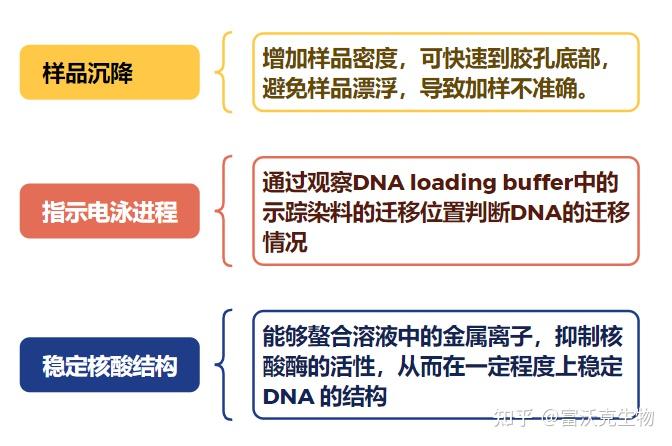 6x 与 10x DNA loading buffer浓度之变如何改写实验大格局？ - 知乎