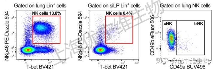 【罗工流式秘籍73】小鼠ILC细胞亚群检测指标怎么选？ - 知乎
