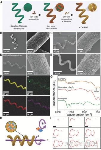 3D COF，最新Advanced Materials！ - 知乎