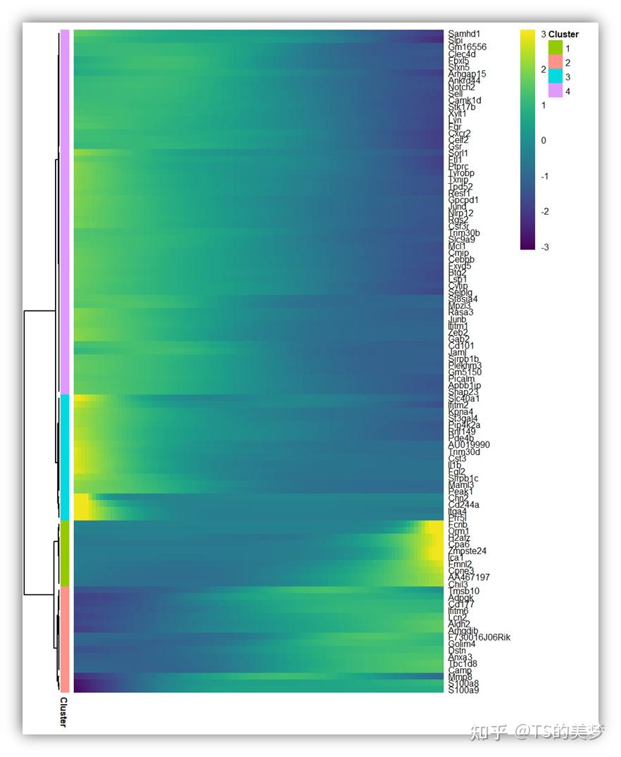 Monocle2拟时基因富集分析 - 知乎