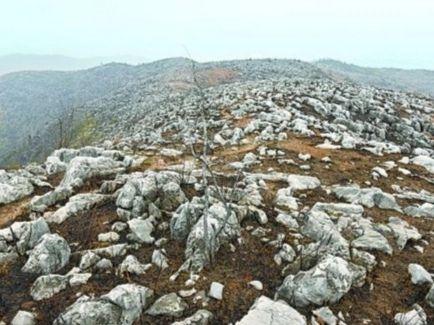 石漠化（石漠化的概念、现状及危害） - 知乎