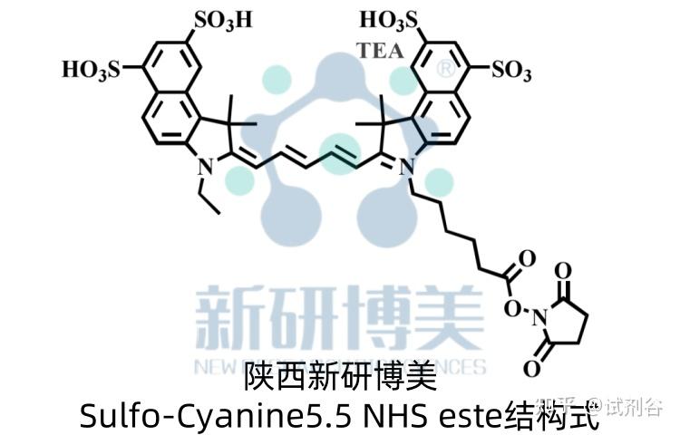 Sulfo-Cy5.5 NHS ester，水溶Cy5.5琥珀酰亚胺酯注意事项和使用方法 - 知乎