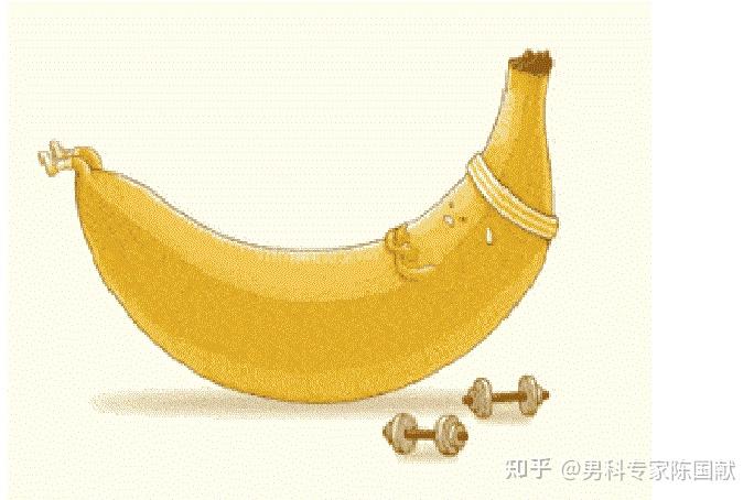 割包皮都有哪些好处？ 知乎