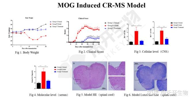 小禾说 | 自身免疫疾病靶点与模型系列(16)——CD3-TCE爆火，自免双抗/多抗疗法进入新阶段 - 知乎