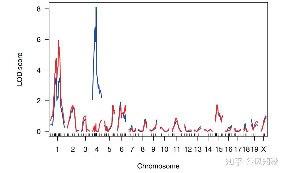 R/qtl 分析流程 - 知乎