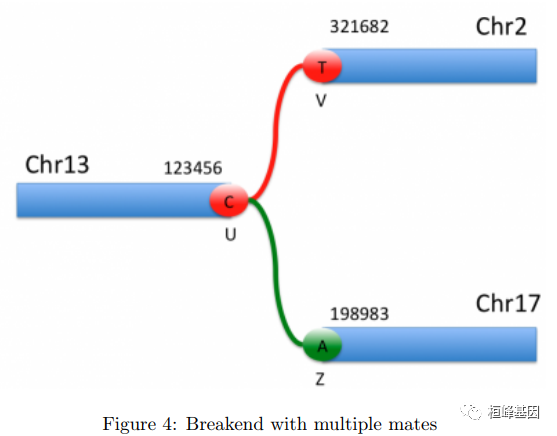 DNA 5. 基因组变异文件VCF格式详解 - 知乎