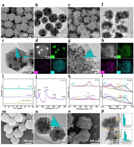 李映伟教授、陈立宇教授Nano Research：抑制MOF热解的金属团聚以实现高密度的金属纳米电催化剂 - 知乎