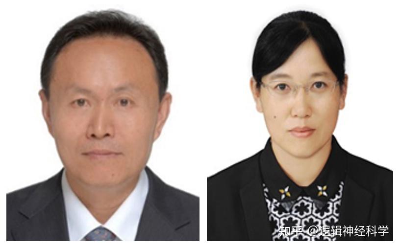 Adv Sci︱中科院长春应化所林君/山东大学李春霞团队合作发现贵金属纳米酶AuPtAg-GOx通过饥饿治疗增强温和光热治疗诱导协同的肿瘤免疫治疗 - 知乎