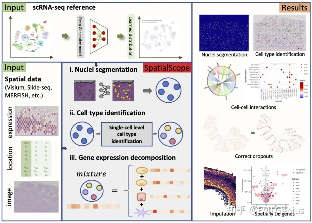 单细胞空间联合分析之SpatialScope - 知乎