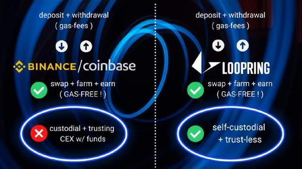 项目调研 | Loopring研究报告 - 知乎