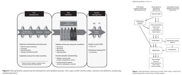 ACMG 评级指南与临床指导 - 知乎