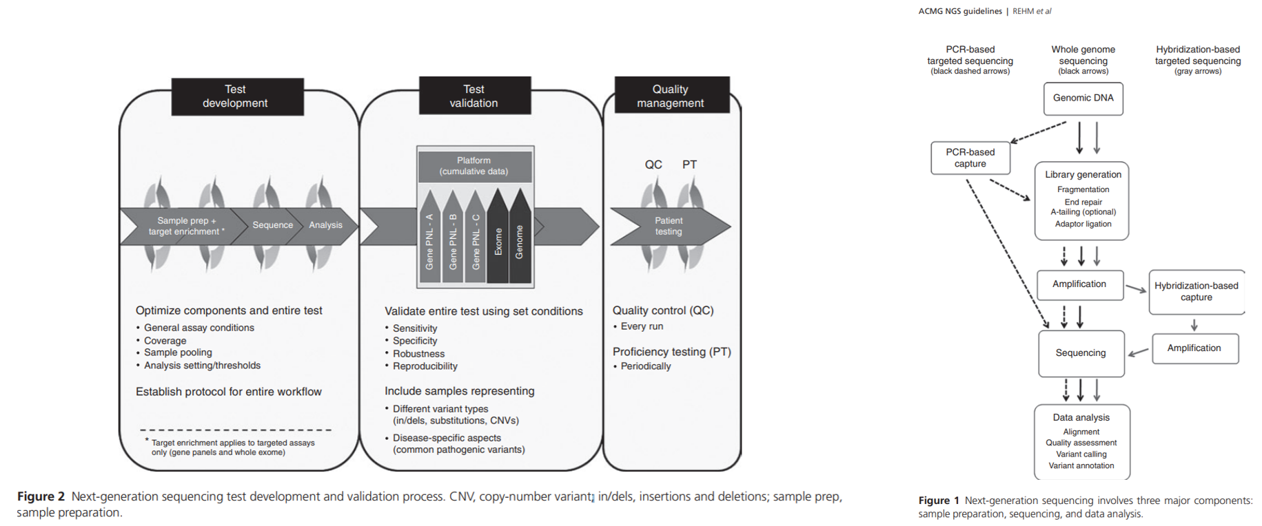 ACMG 评级指南与临床指导 - 知乎