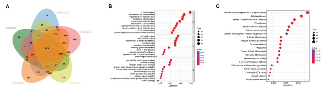 5张图搞定8分+生信文章！两月接收！只有简单的WGCNA和免疫浸润分析，不蹭热点照样发高分，怎么做到的？ - 知乎